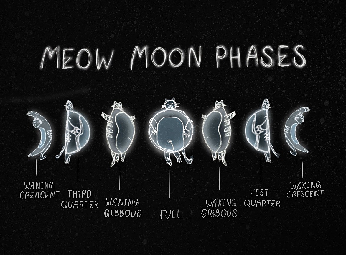 MEOW MOON PHASES – HAT.(Howling Art Thinking)